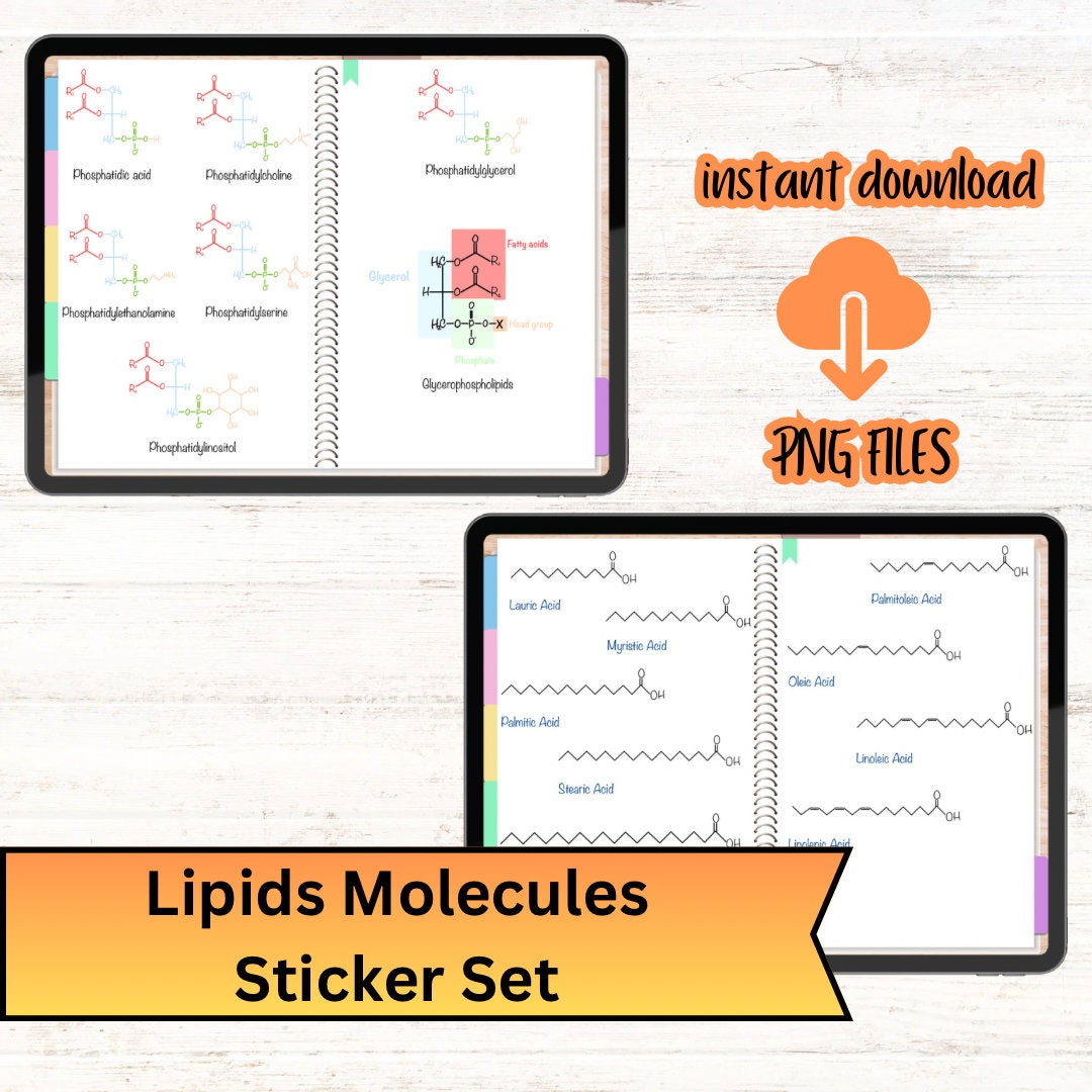Lipid Molecules Digital Stickers for Biochemistry, Biology, Molecular ...