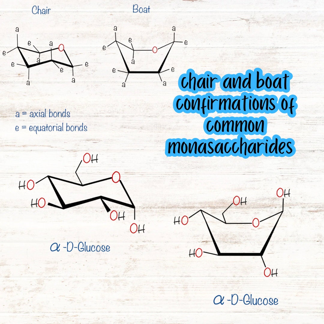 Carbohydrates Digital Sticker Set | Educational & Functional Chemistry ...