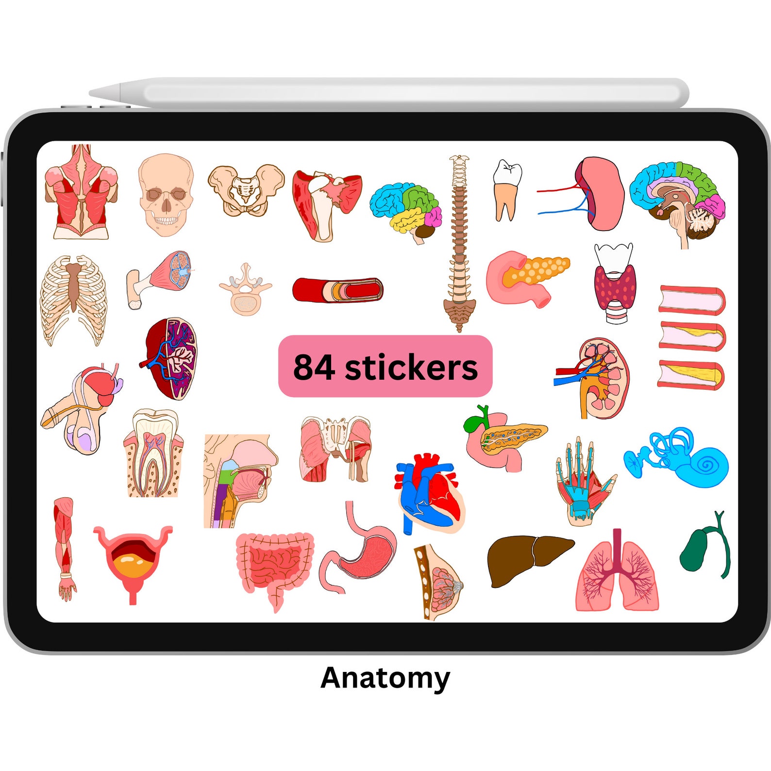 Biology Sticker Set for Anatomy, Microbiology, Cell Biology, Genetics ...