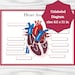 Heart Anatomy Diagram – Educational Printable Learning Resource ...