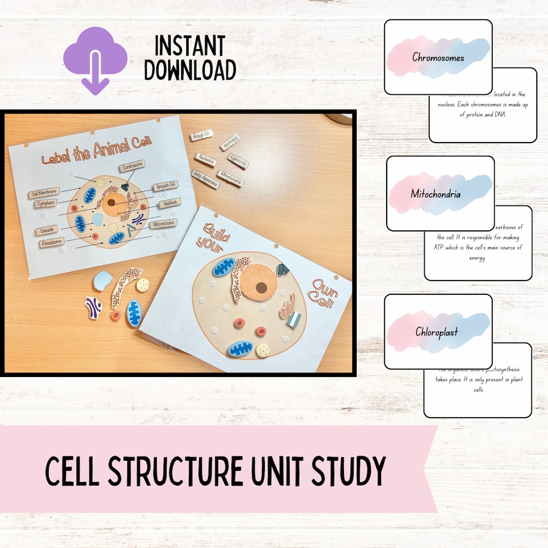 Animal, Plant, Bacterial Cell Model and Flashcards Unit Study Cellular ...