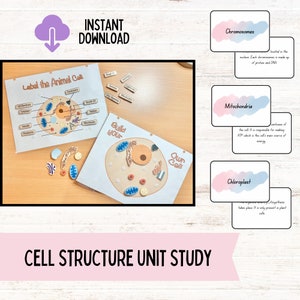 Animal, Plant, Bacterial Cell Model and Flashcards Unit Study Cellular ...