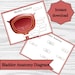 Bladder Anatomy Diagram – Educational Printable Learning Resource ...