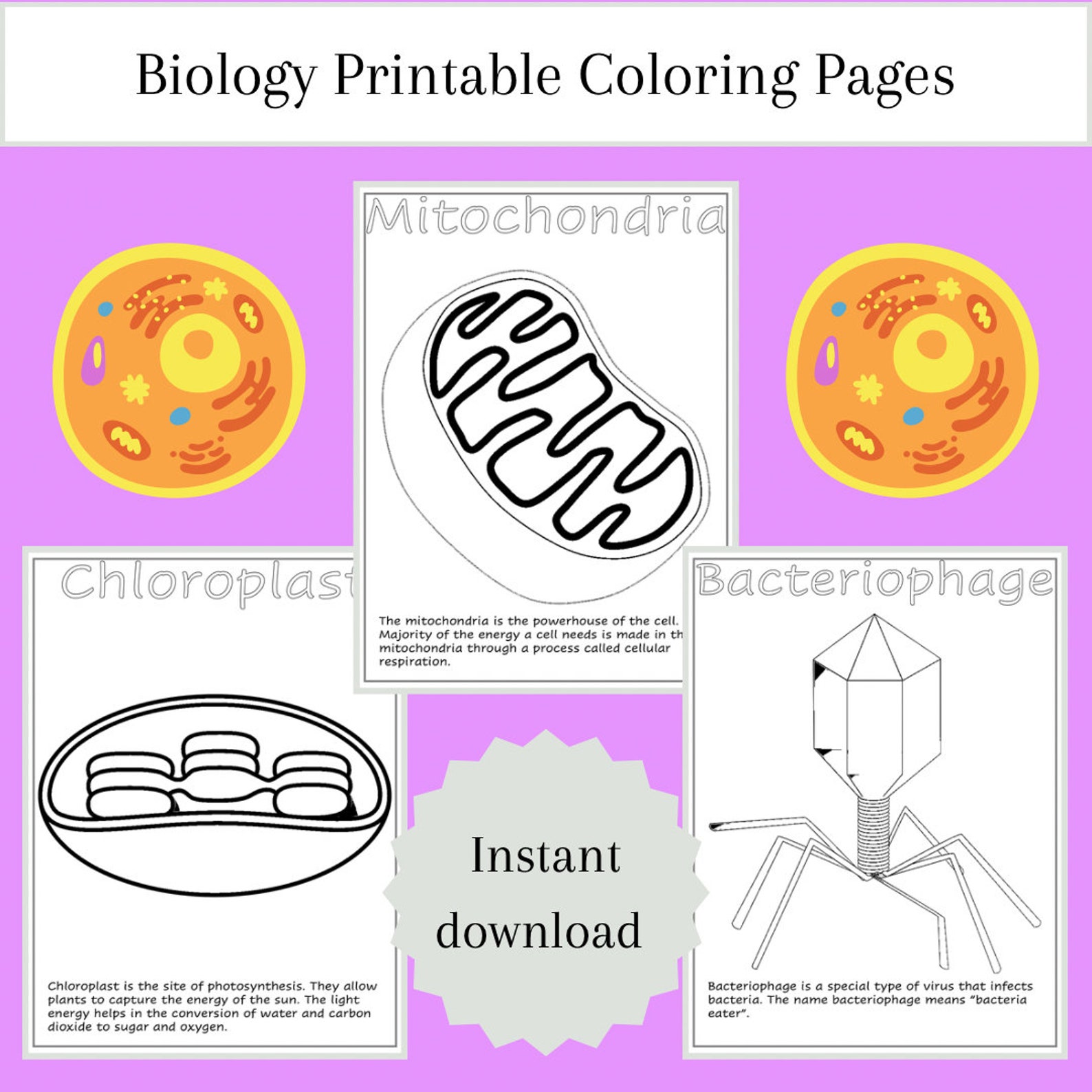 Biology Printable Coloring Pages Biology for Kids Biology for ...