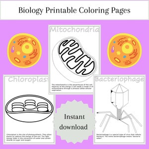 Biology Printable Coloring Pages for Kids - Etsy Canada