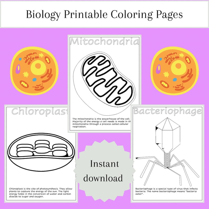 Biology Printable Coloring Pages Biology for Kids Biology for ...