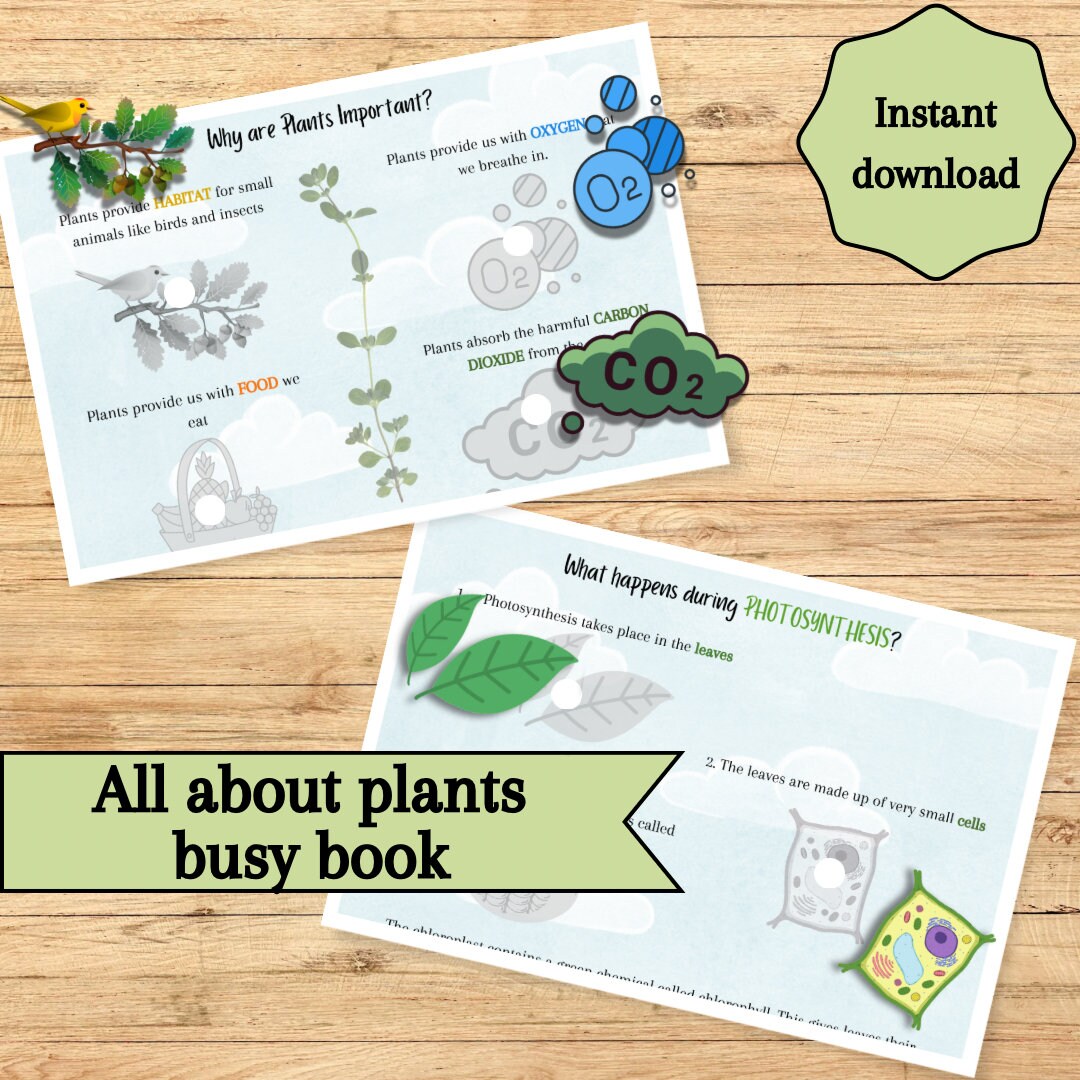 Montessori Busy Book for Kids Busy Binder for Toddlers and Older Kids ...