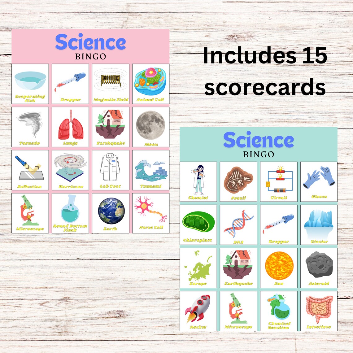 Science Bingo Game for Kids and Families – Educational Printable ...