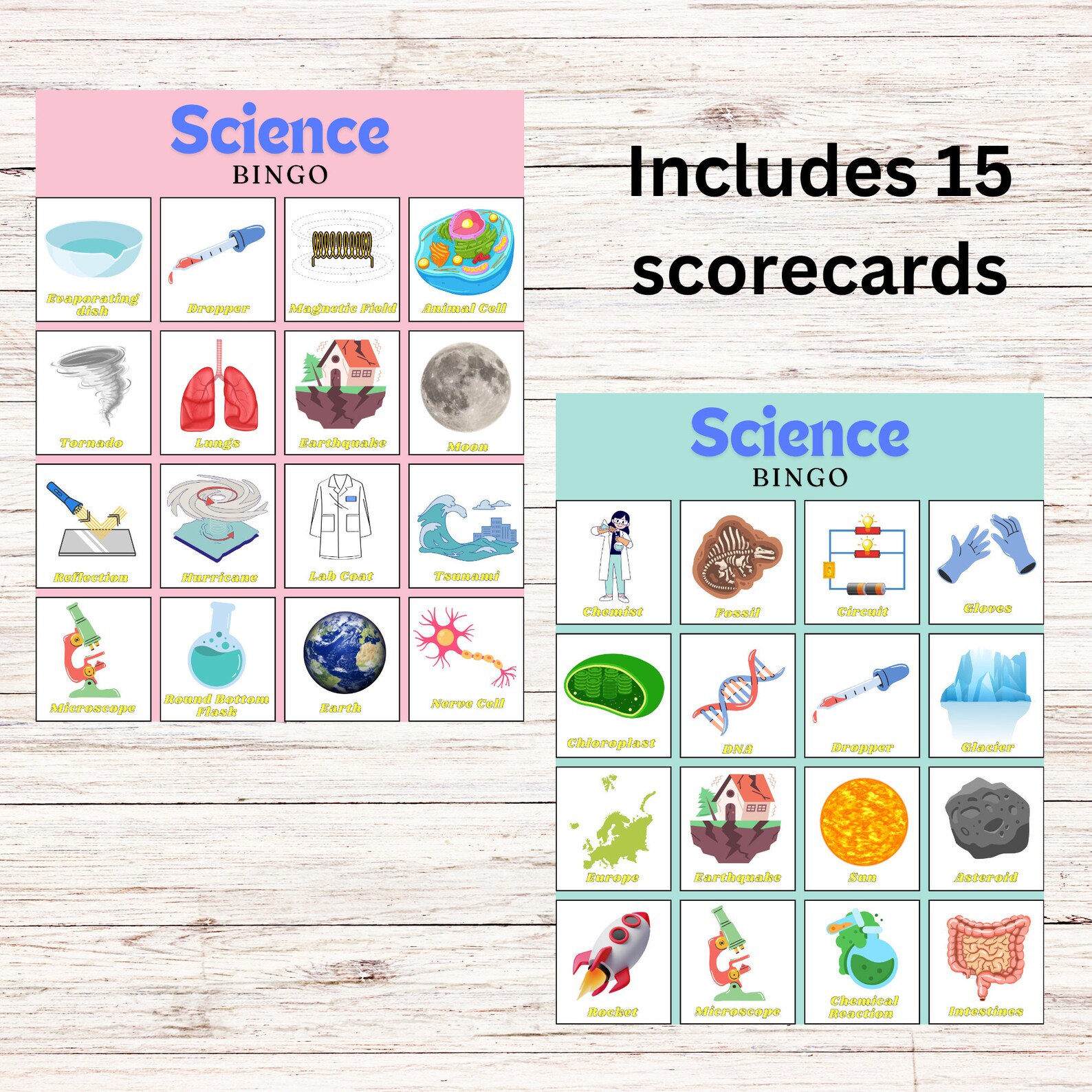 Science Bingo Game for Kids and Families – Educational Printable ...