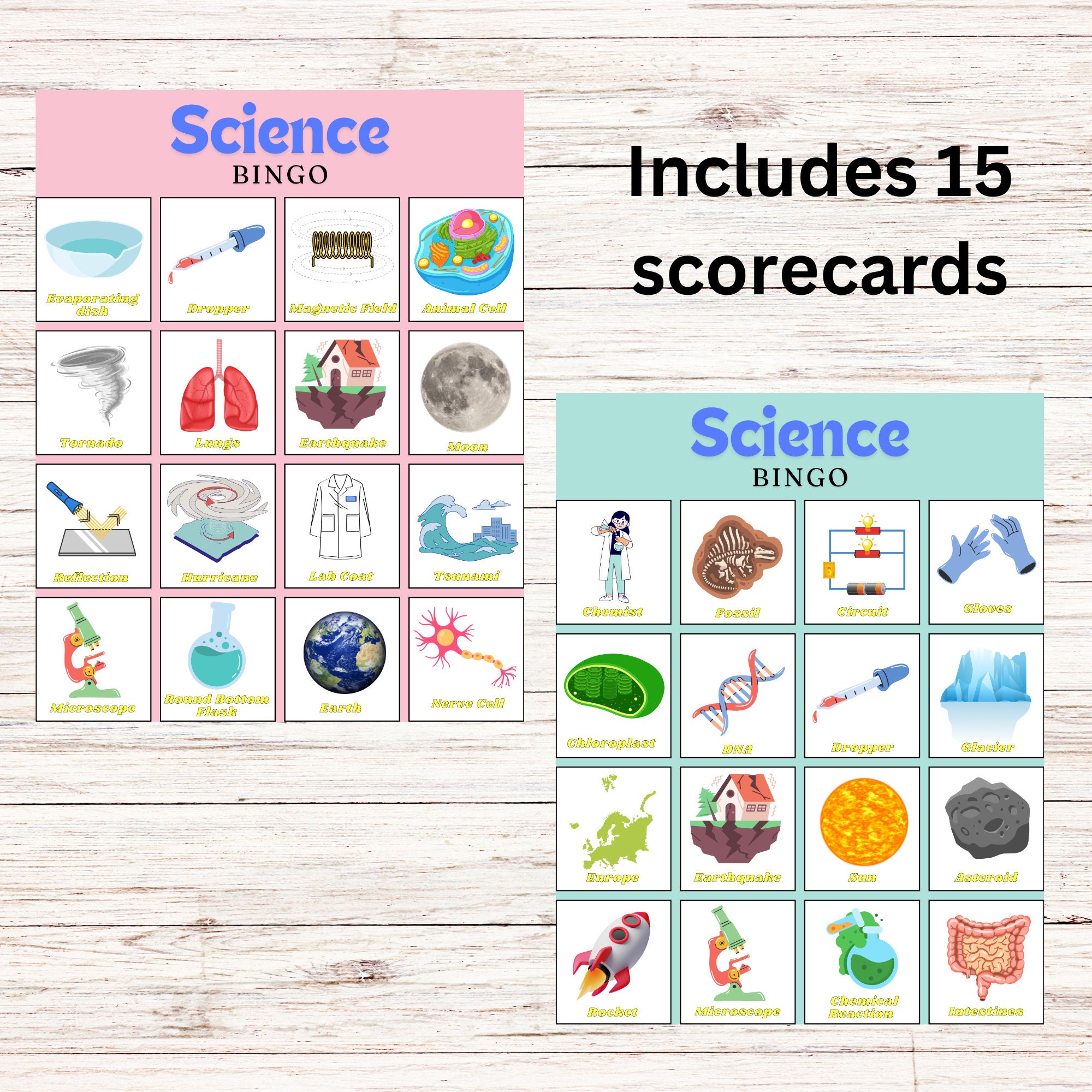 Science Printable Bingo Cards for Kids, Teens, Adults Game Night ...