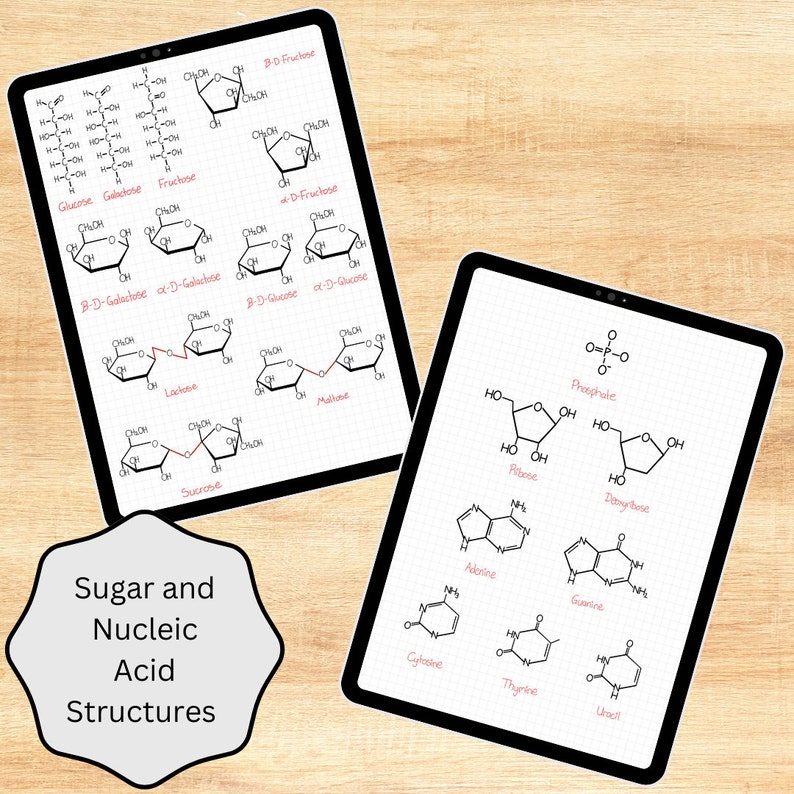 Biochemistry Digital Stickers and Biomolecules Structures and - Etsy