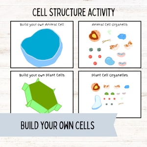 Interactive Cell Structure Activity Set With Flashcards - Etsy