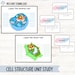 Animal, Plant, Bacterial Cell Model and Flashcards Unit Study Cellular ...