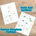 Biochemical Pathway Worksheets for Biology, Biochemistry, Medical ...