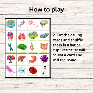 Science Bingo Game for Kids and Families – Educational Printable ...