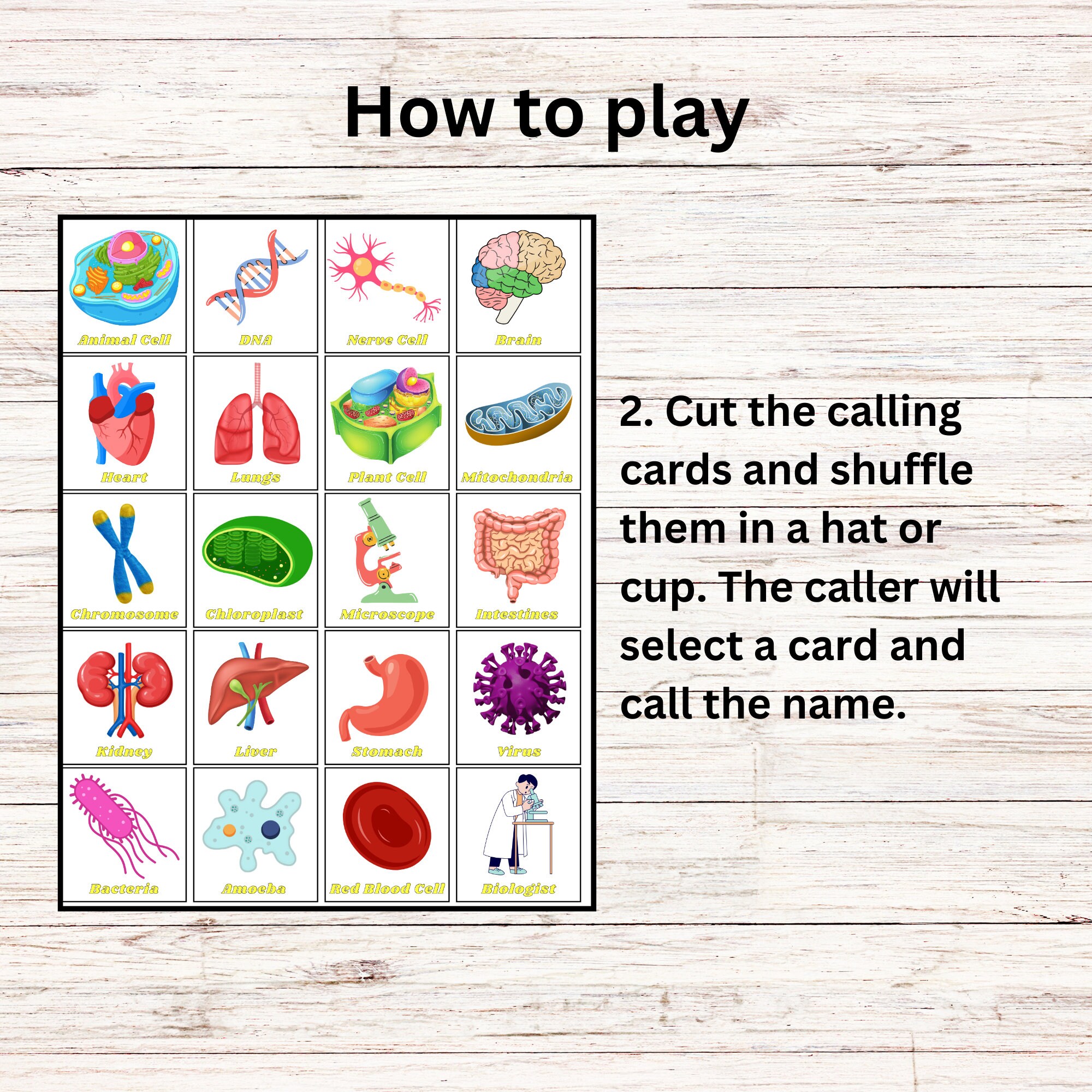 Science Printable Bingo Cards for Kids, Teens, Adults Game Night ...