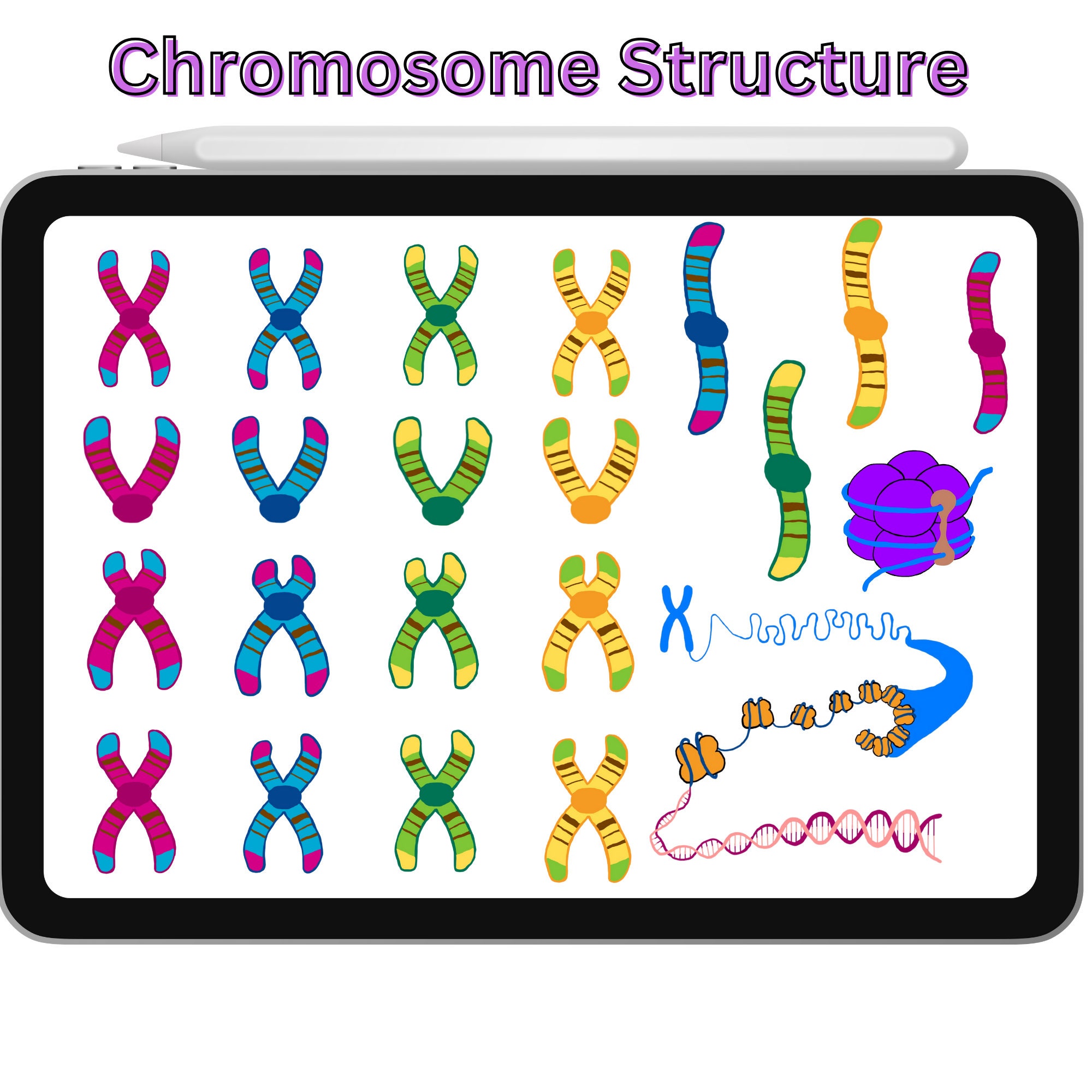 Digital Stickers for Biochemistry, Molecular Biology & Genetics - Etsy