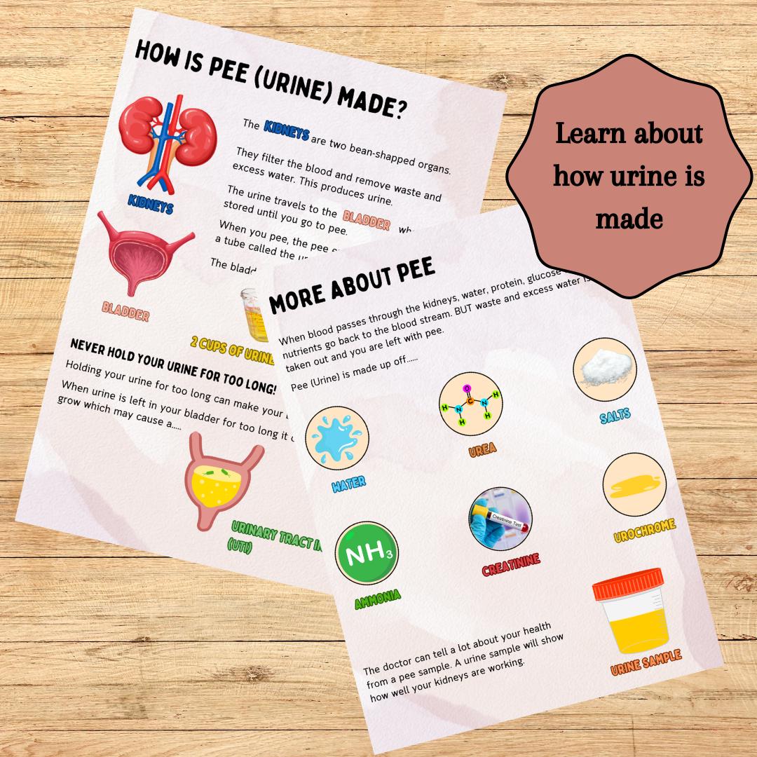 All About Poop and Pee: a Fun and Educational Busy Book for Kids ...