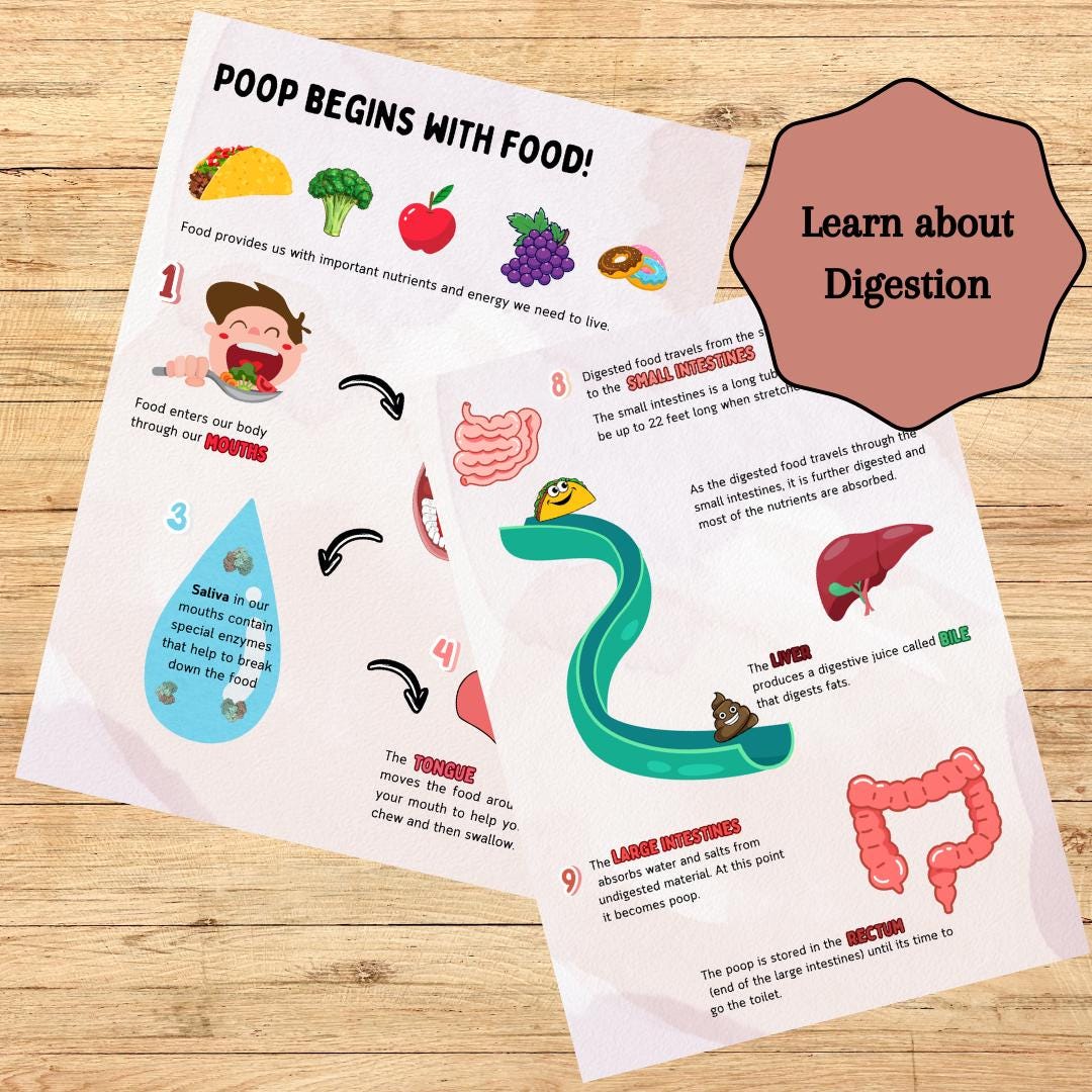 All About Poop and Pee: a Fun and Educational Busy Book for Kids ...