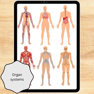 Digital Stickers for Biology, Biochemistry, Nursing and Medical ...