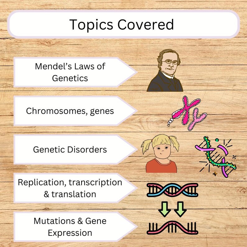 Genetics Flashcards: Biology Study Cards for Students (116, Instant ...