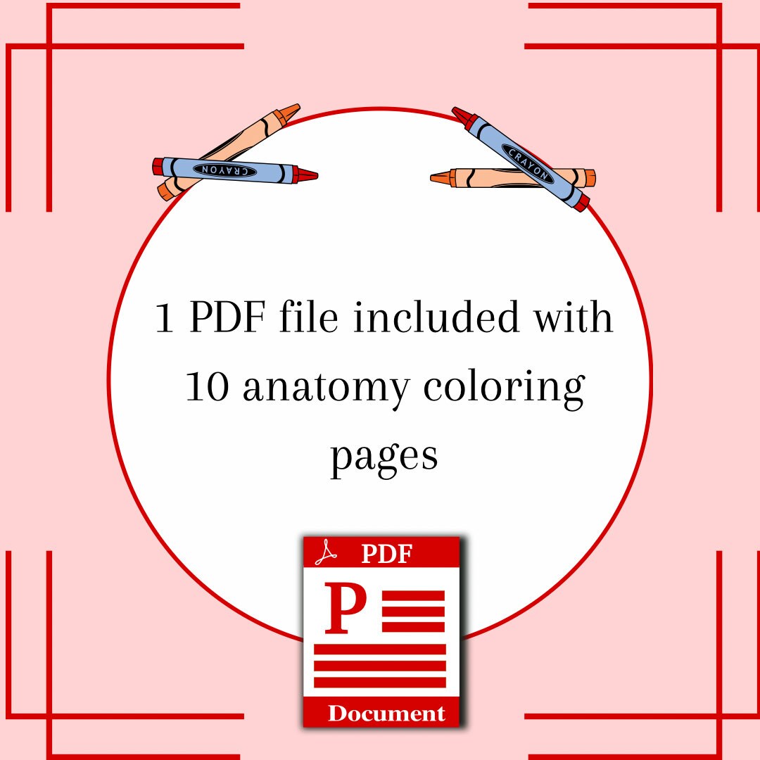 Human Anatomy Printable Coloring Pages, for Preschool, Kindergarten ...