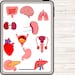 Medical Laboratory Digital Stickers for Medical or Nursing School ...