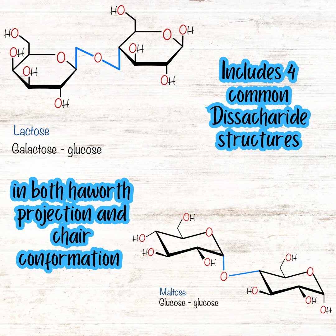 Carbohydrates Digital Sticker Set | Educational & Functional Chemistry ...