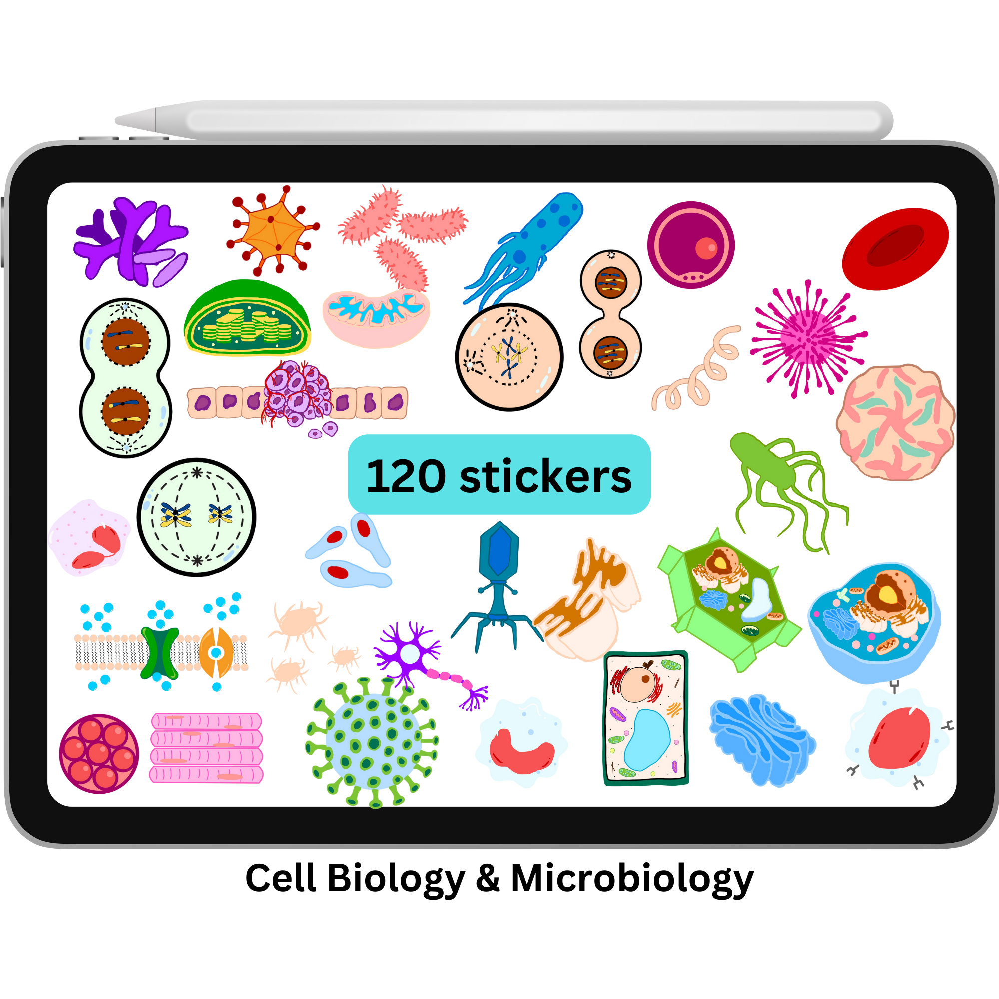Digital Sticker Pack for Biochemistry, Biology, Chemistry, Physics ...