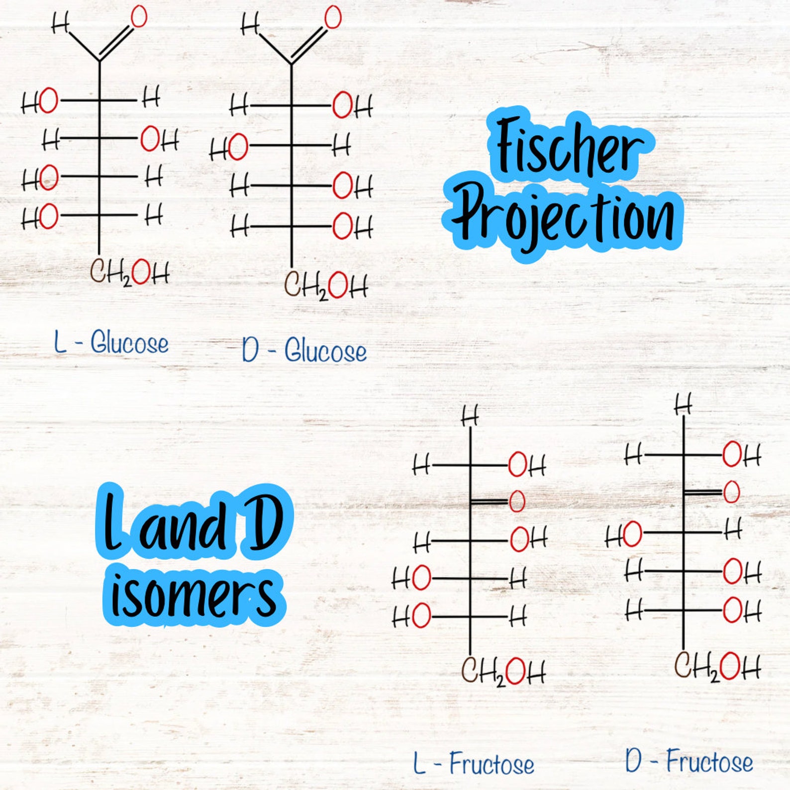Carbohydrates Digital Sticker Set | Educational & Functional Chemistry ...