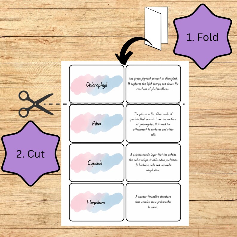 Animal Cell, Plant Cell, Bacteria Cell Flashcards Cell Structure ...