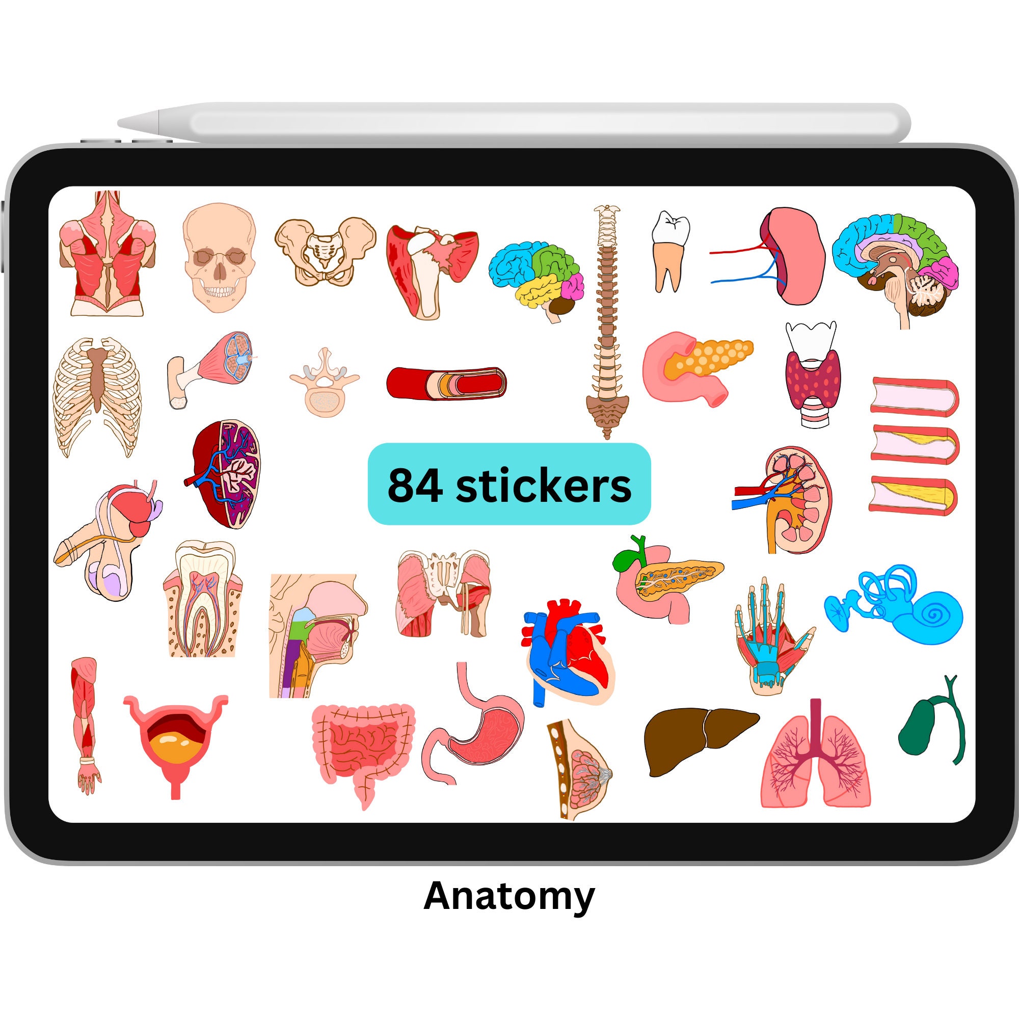 Digital Sticker Pack for Biochemistry, Biology, Chemistry, Physics ...
