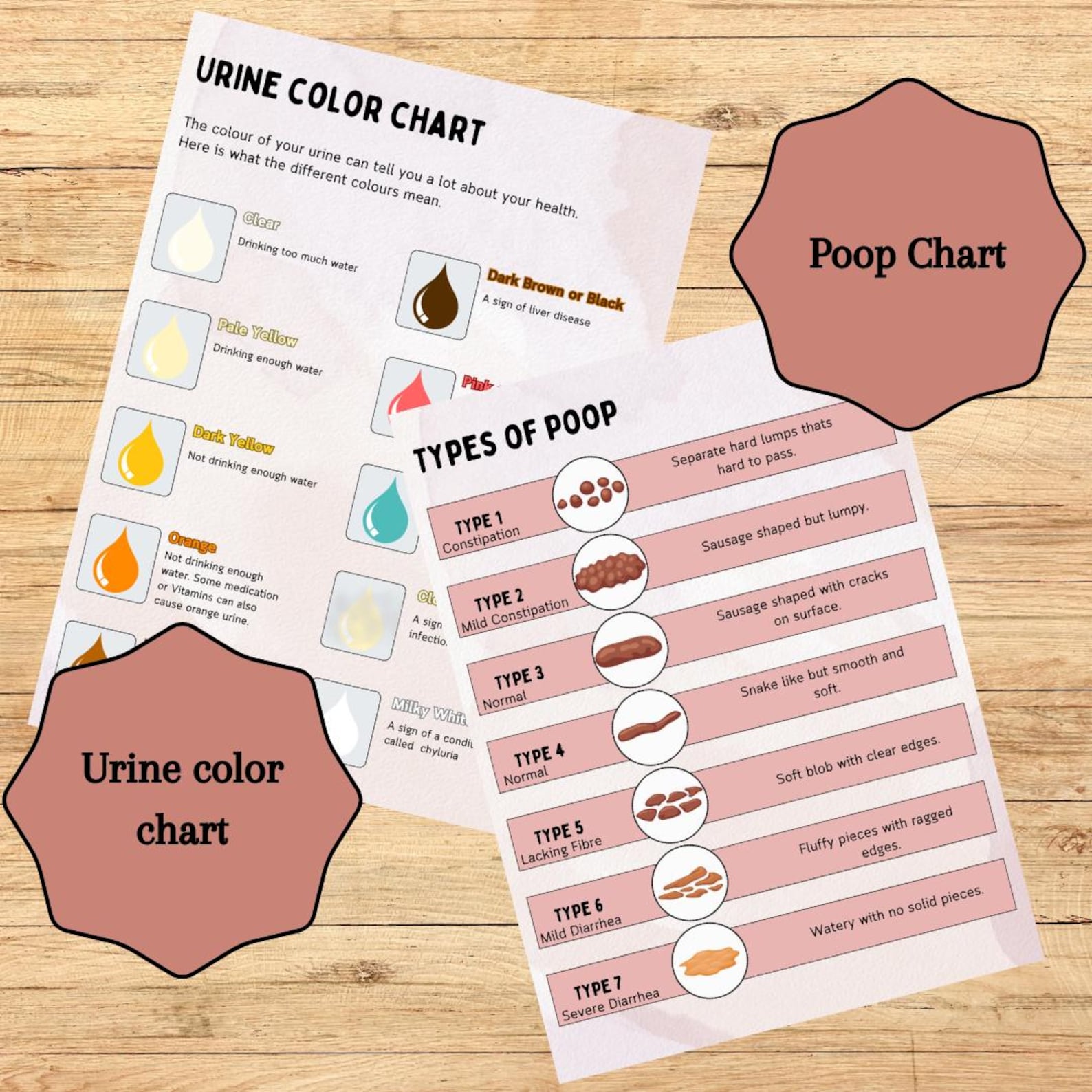 All About Poop and Pee: a Fun and Educational Busy Book for Kids ...
