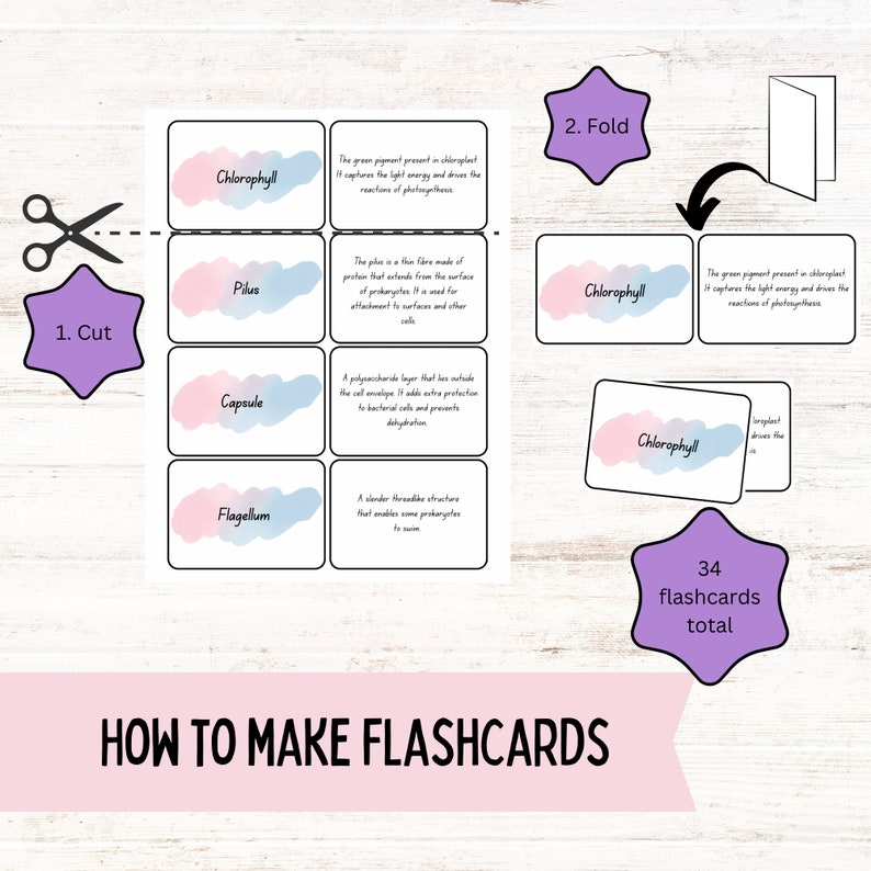 Animal, Plant, Bacterial Cell Model and Flashcards Unit Study Cellular ...