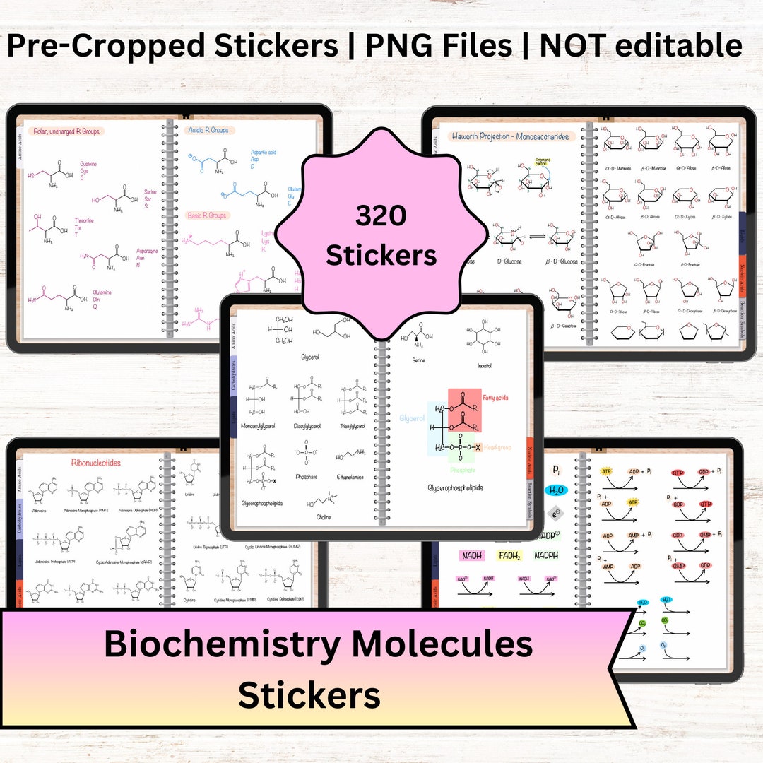 Biochemistry Molecules Sticker Set With Reaction Arrows and Symbols Pre ...