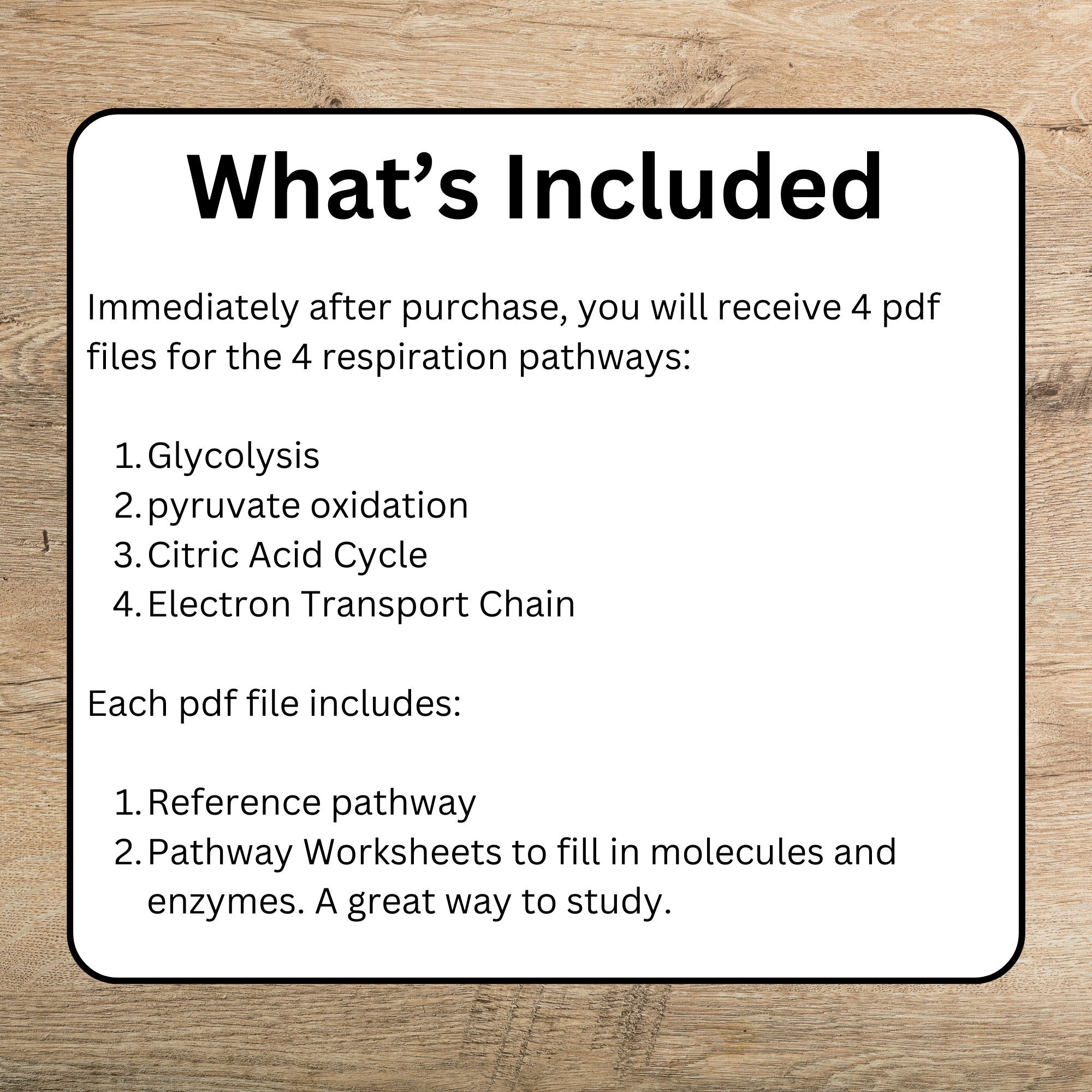 Cellular Respiration Biochemistry Pathways | Biochemistry, Medical ...