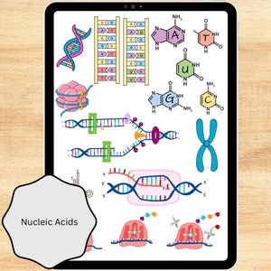Digital Stickers for Biology, Biochemistry, Nursing and Medical ...