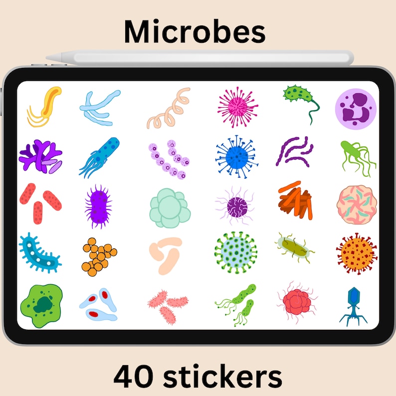 Medical Digital Stickers Including Anatomy, Cell Biology and Clinical ...
