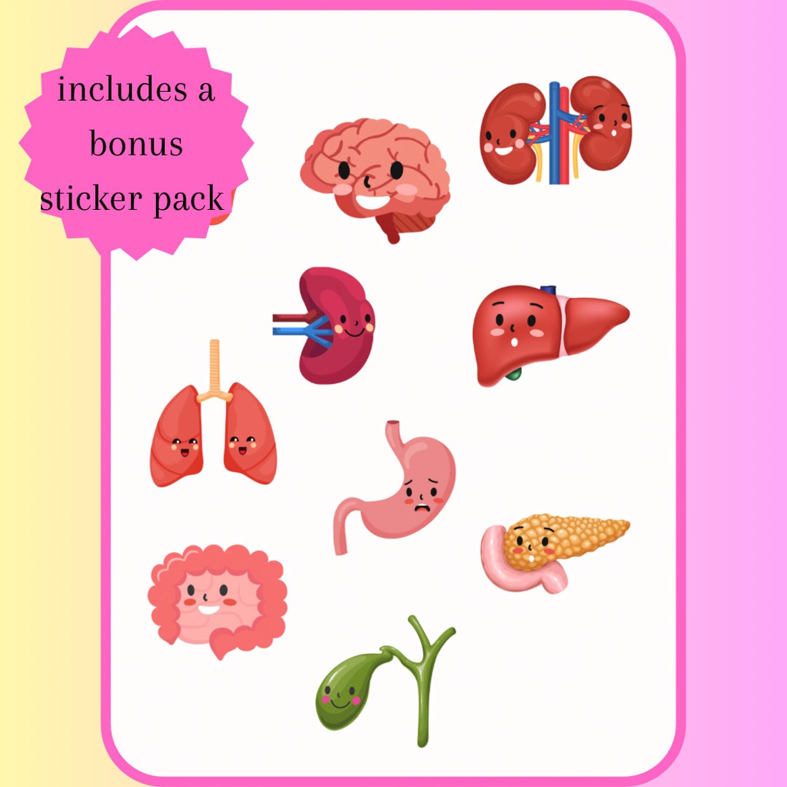 Anatomy Coloring Pages for Kids V2 With Bonus Sticker Set Printable ...