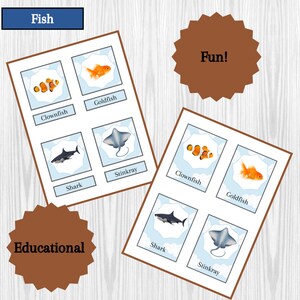 Montessori Inspired Animals 3-part Classification Flashcards Featuring ...