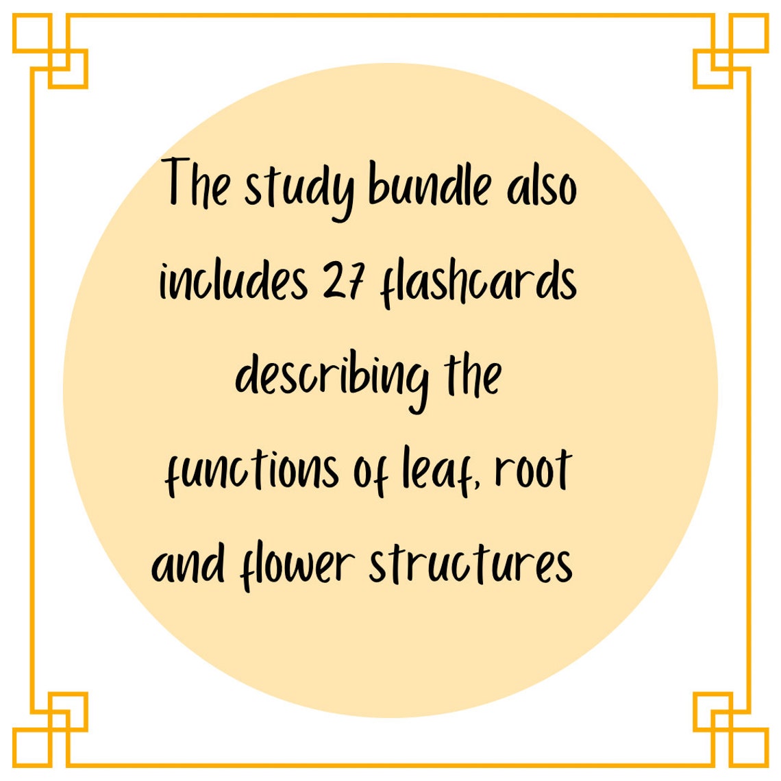 Parts of a Plant Printable Study Bundle Homeschool Plant Biology Unit ...