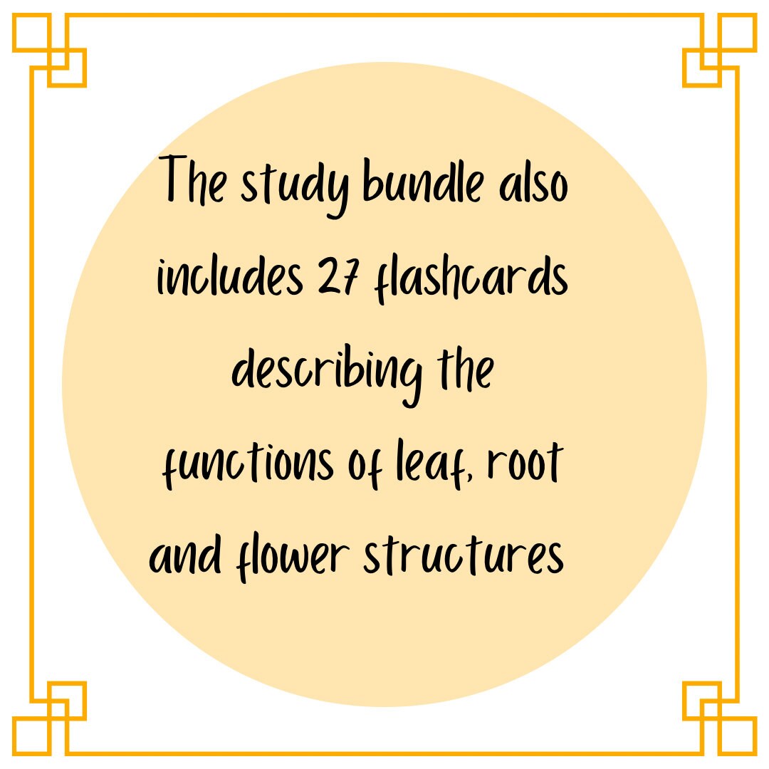 Parts of a Plant Printable Study Bundle Homeschool Plant Biology Unit ...