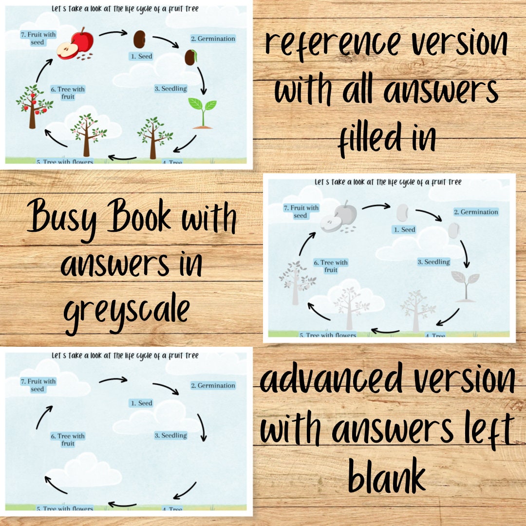 Plants Busy Book: Interactive Learning for Kids (PDF) - Etsy