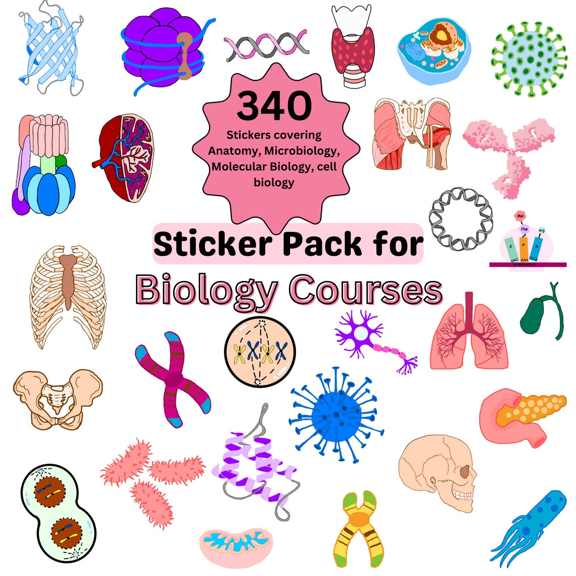 Biology Sticker Set for Anatomy, Microbiology, Cell Biology, Genetics ...
