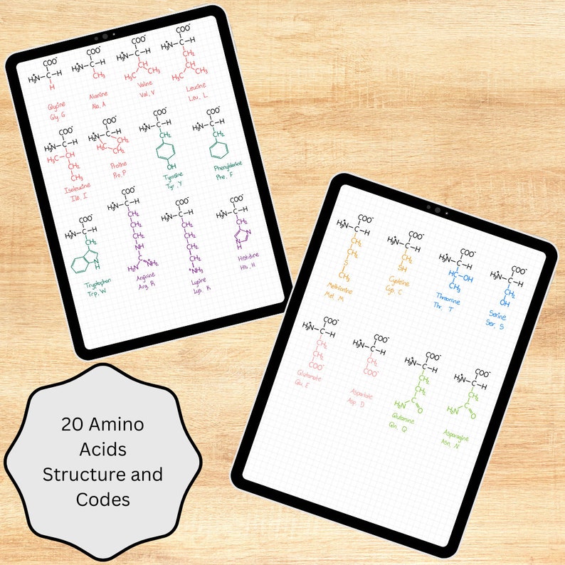 Biochemistry Digital Stickers and Biomolecules Structures and - Etsy