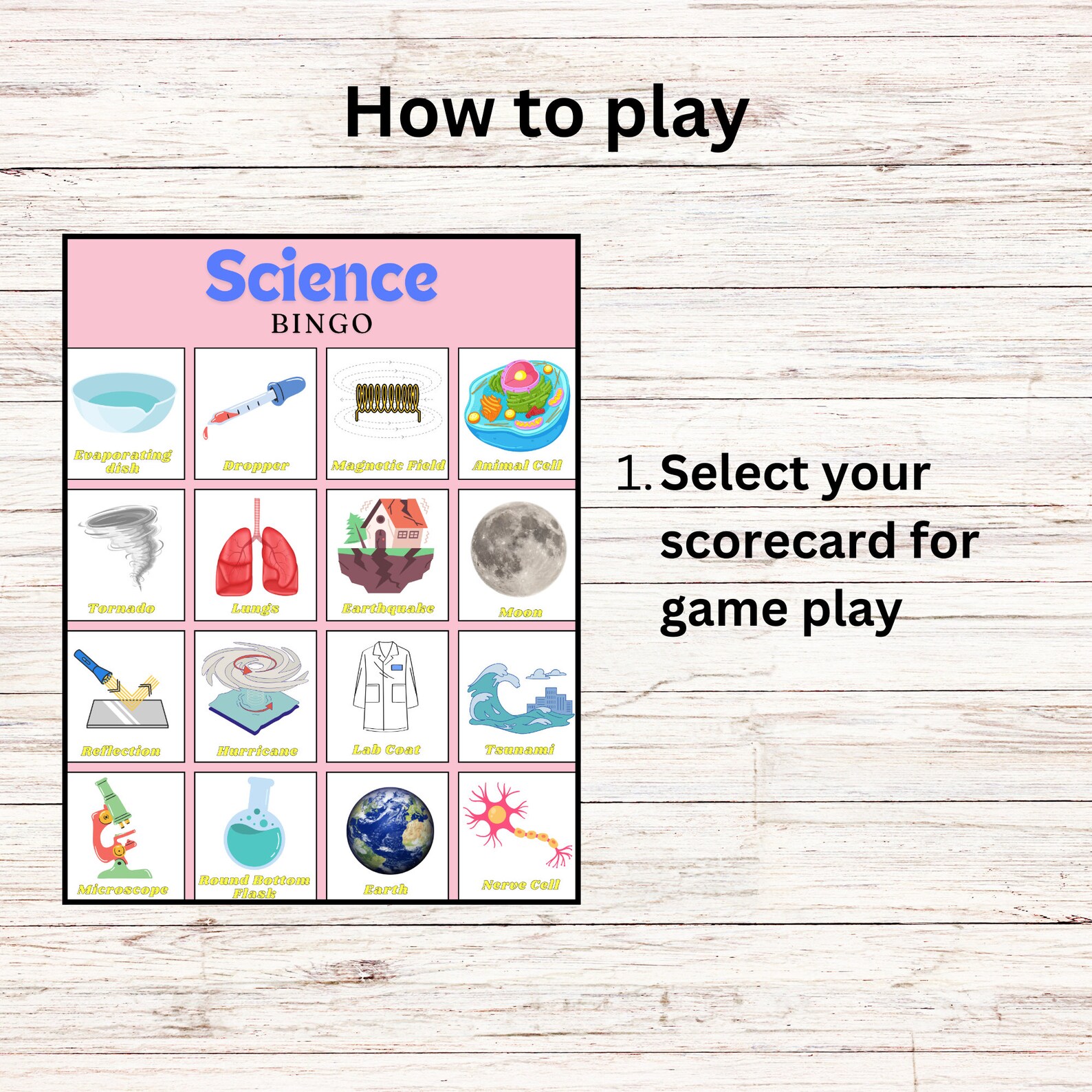 Science Bingo Game for Kids and Families – Educational Printable ...