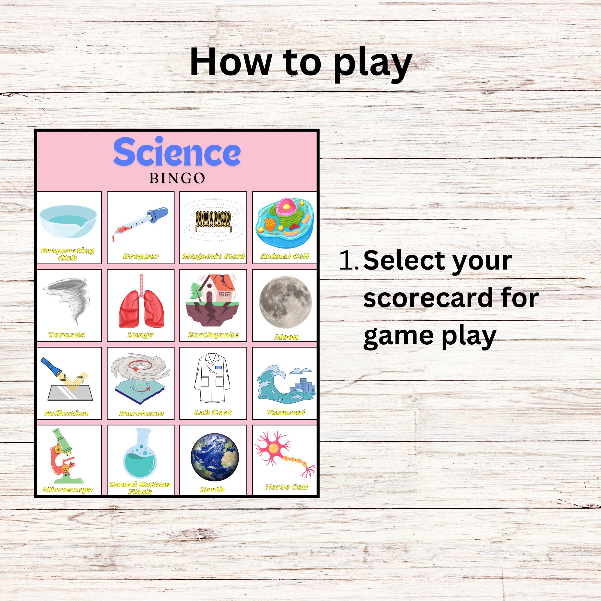 Science Printable Bingo Cards for Kids, Teens, Adults Game Night ...