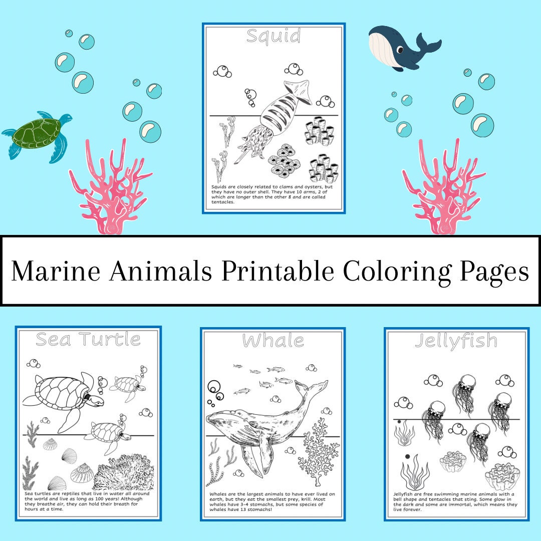 Marine Animals Printable Coloring Pages for Kids - Etsy Canada