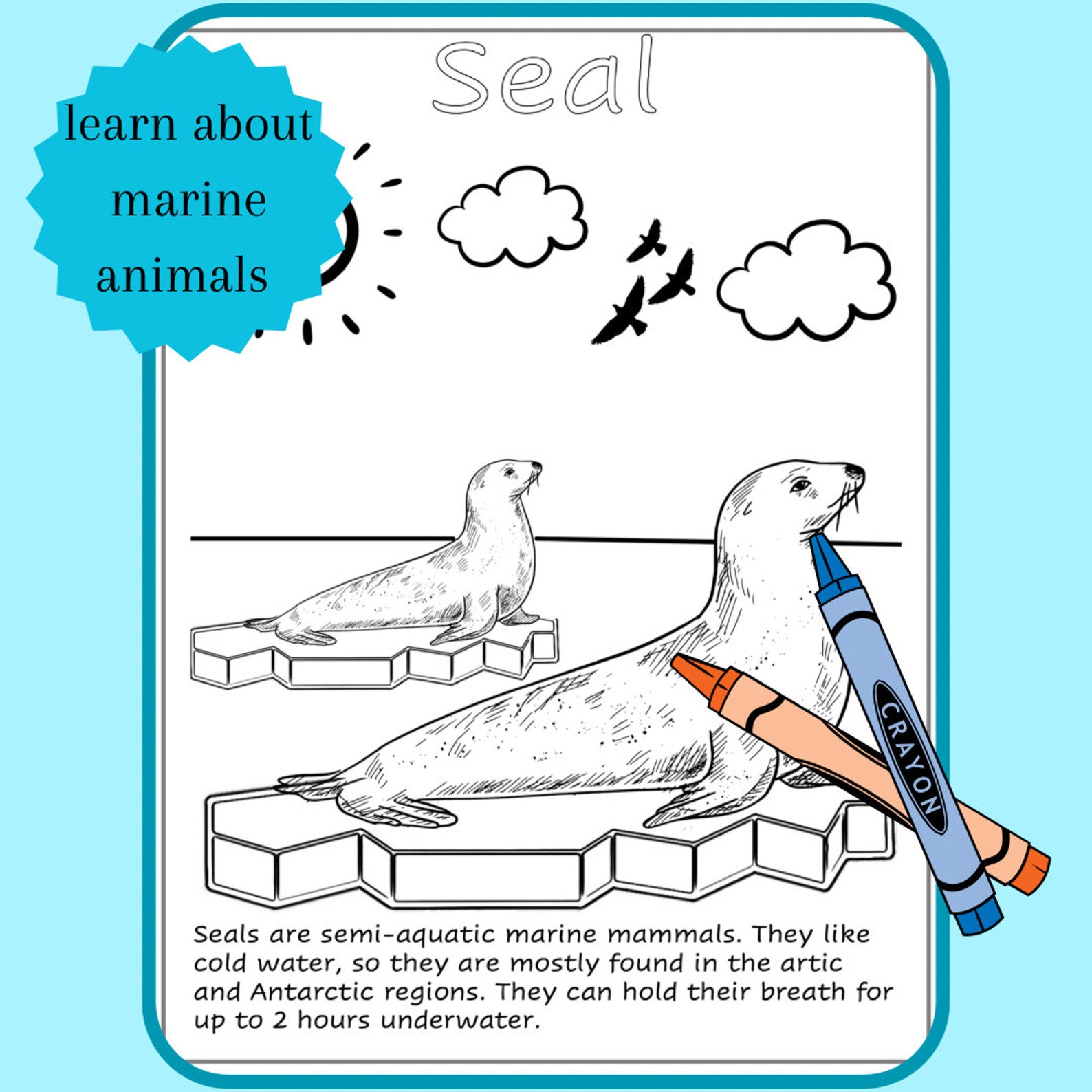 Marine Animals Printable Coloring Pages for Kids - Etsy Canada