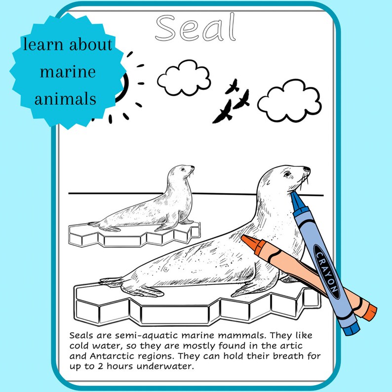 Marine Animals Printable Coloring Pages for Kids - Etsy Canada